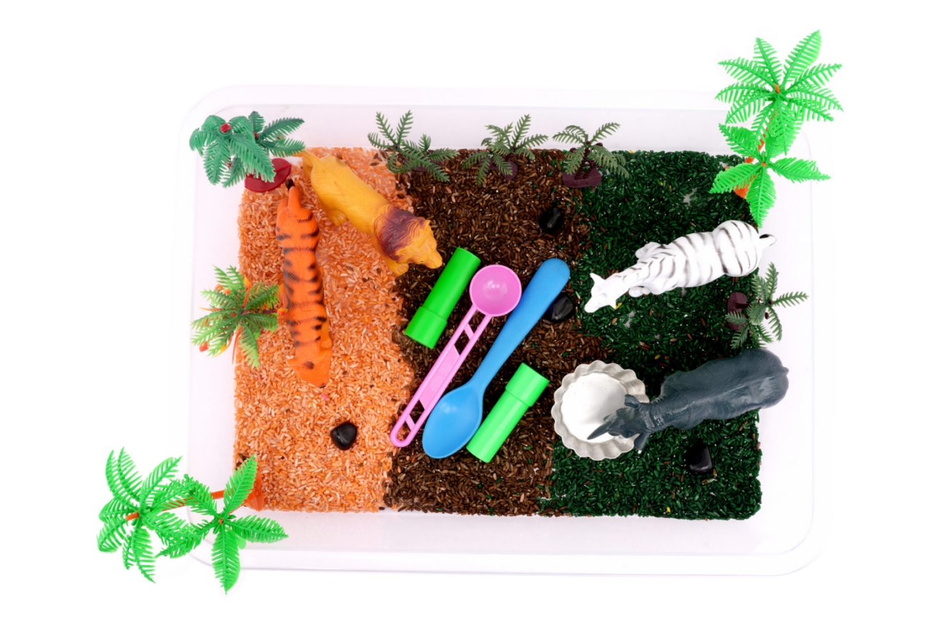 Jungle Sensory Play Bin | Animal-Themed Adventure Kit - Sensory Bins India