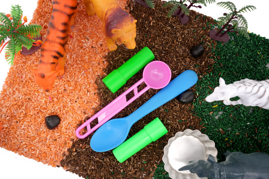 Jungle Sensory Play Bin | Animal-Themed Adventure Kit - Sensory Bins India